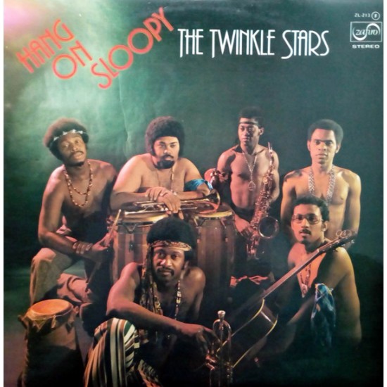 The Twinkle Stars - Hang On 'Disco' Sloopy (LP)